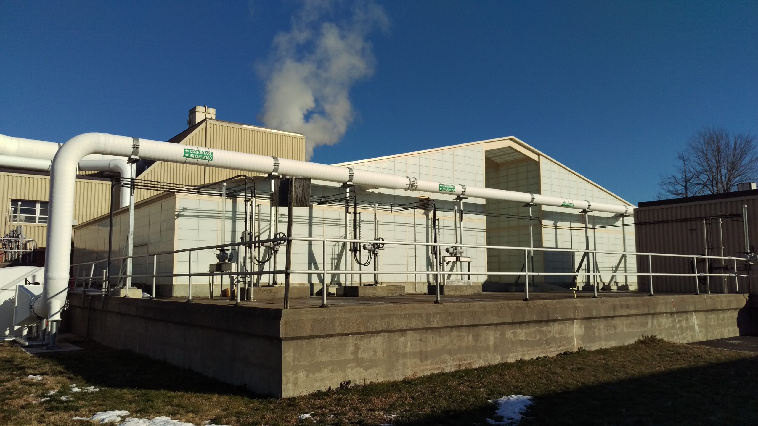 Creating Another Award-Winning 'Environment' | Structures Unlimited